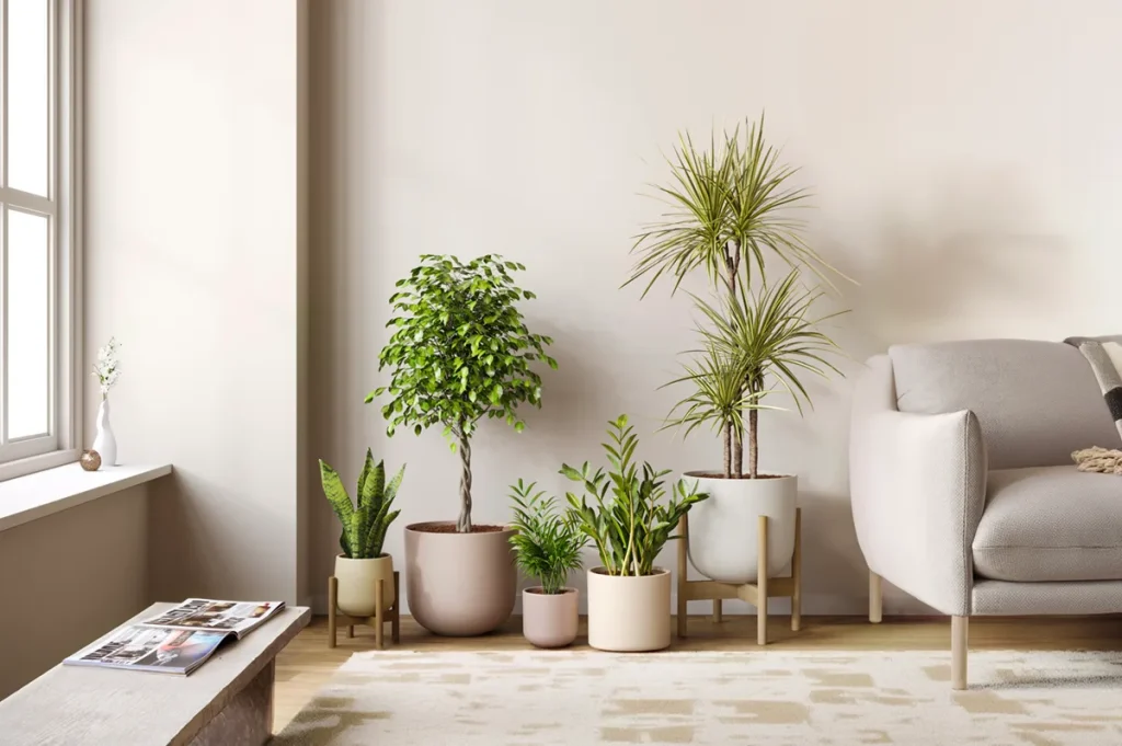 Biophilic Design - Furngully